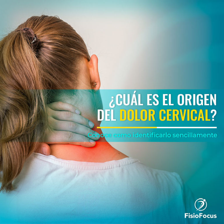 Dolor Cervical: ¿Cómo afecta el trabajo y la edad? - FisioFocus